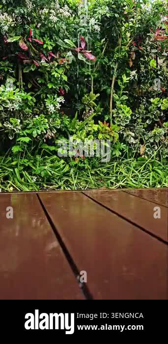 High angle footage of water droplets falling on a brown wood patio ...