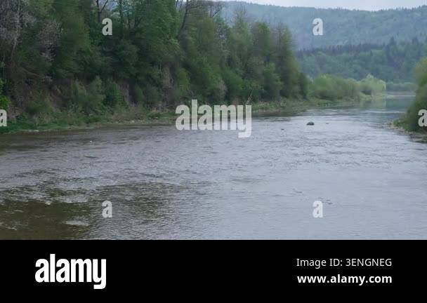 Spring picturesque mountain river band view. (Stryi river near ...