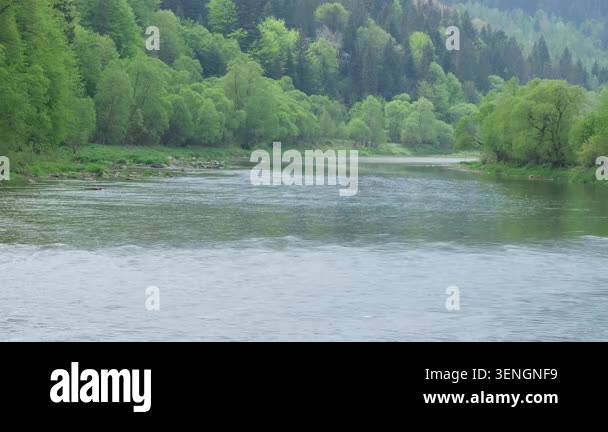 Spring picturesque mountain river band view. (Stryi river near ...