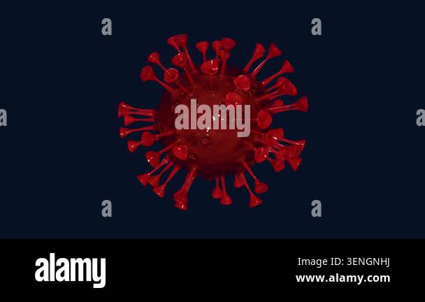 Realistic 3D animation of red coronavirus SARS CoV 2 cell rotating and ...