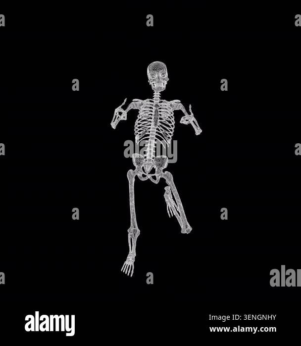Seamless loop of a 3D wireframe human skeleton dancing. Stylized ...