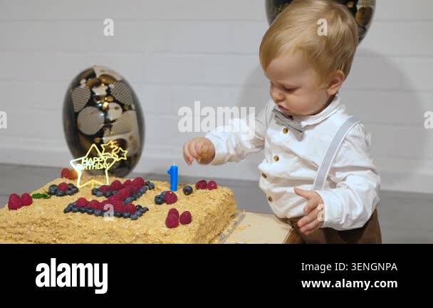 Young child examines decorated dessert table. Little boy interacts with ...