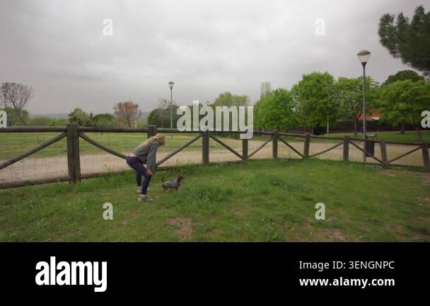 Young girl leans down to her small chihuahua on green grass beside a ...
