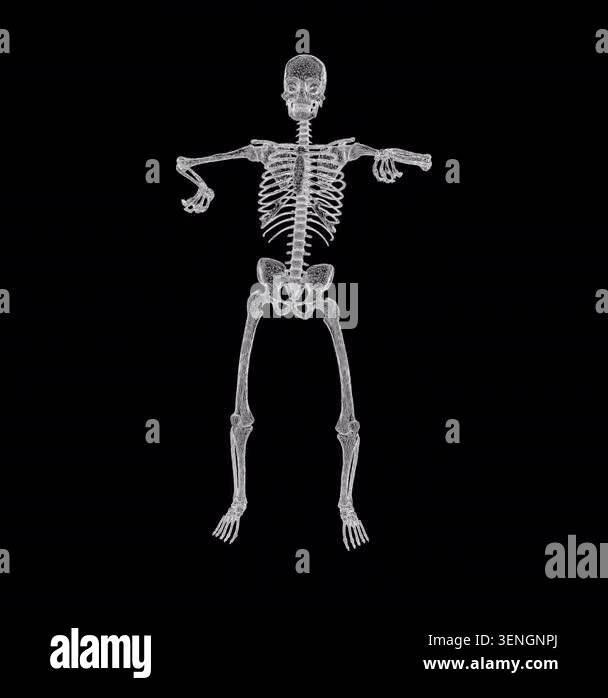 A 3D wireframe human skeleton dances against a black background. The ...