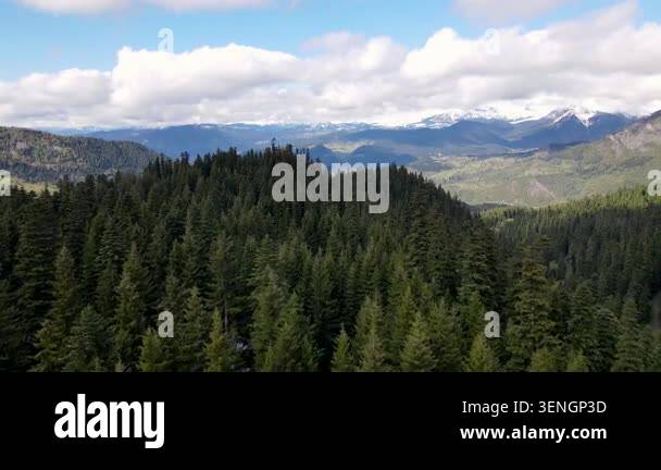 Footage of pine forests, snow-capped mountains, and a cloudy blue sky ...