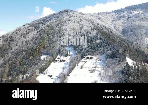 Snow covered mountains, forests and trees. Pine, cedar, hornbeam ...