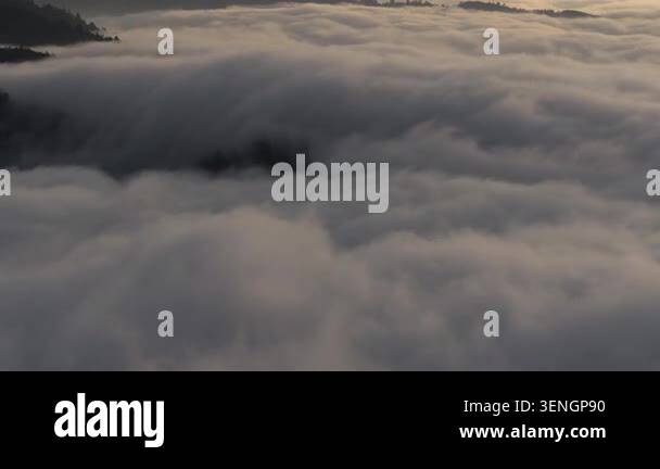 Time-lapse footage of a sea of fog moving in waves between trees in a ...