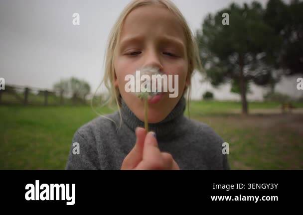 Young girl blows a fluffy dandelion seed head outdoors in a park on an ...