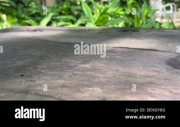 Empty wooden table with nature background, Product display concept ...