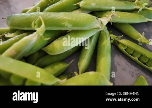 Green peas (pods and seeds) close-up cinematic view. Macro shot of ...