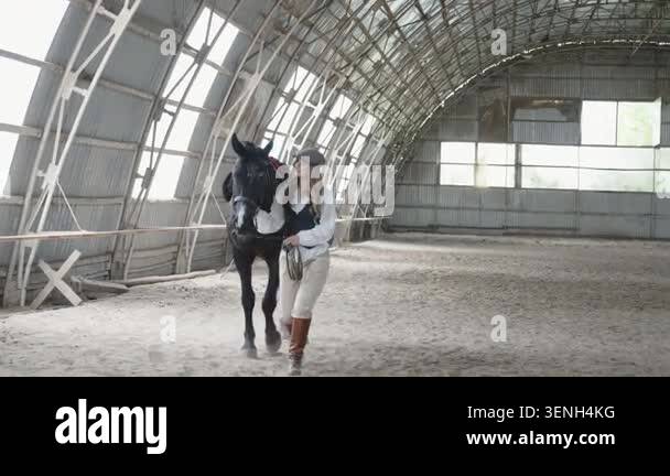 Young female jockey walking her black stallion Stock Video Footage - Alamy