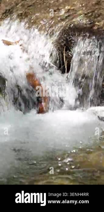 Aesthetic Water Movement in Portrait Format Stock Video Footage - Alamy