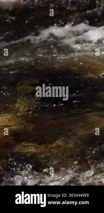 Slow motion vertical video featuring calming river movement and ...