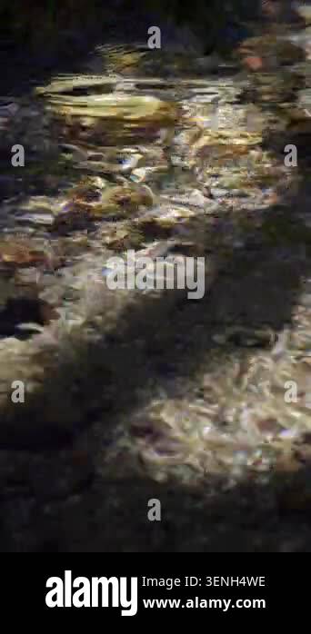 Vertical River Wallpaper With Crystal Clear Water Stock Video Footage ...