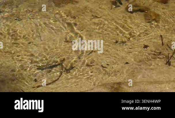 Clean mountain stream with crystal clear water and granite bottom Stock ...