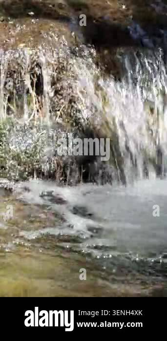 Clean Nature Background for Corporate Branding Stock Video Footage - Alamy