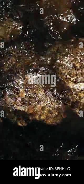 Slow motion freshwater stream with natural textures and relaxing ...