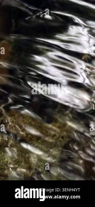 Vertical Nature Background for Relaxation Applications Stock Video ...