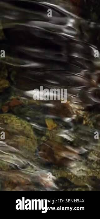 Smartphone Friendly Nature Background Stock Video Footage - Alamy