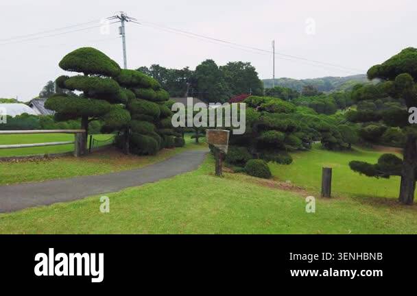 A scenic asphalt road winds through Nokonoshima Island Park in Fukuoka ...