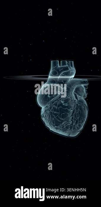 Pulmonary Artery Digital Zoom simulating advanced medical technology ...