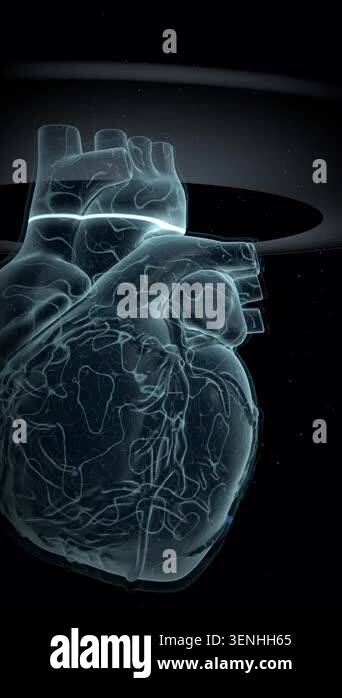 Artificial Heart Chamber Pulse simulating advanced medical technology ...
