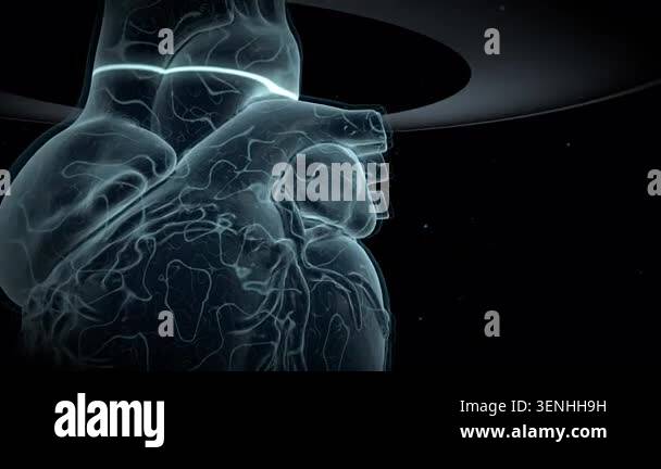 Artificial Heart Chamber Pulse simulating advanced medical technology ...