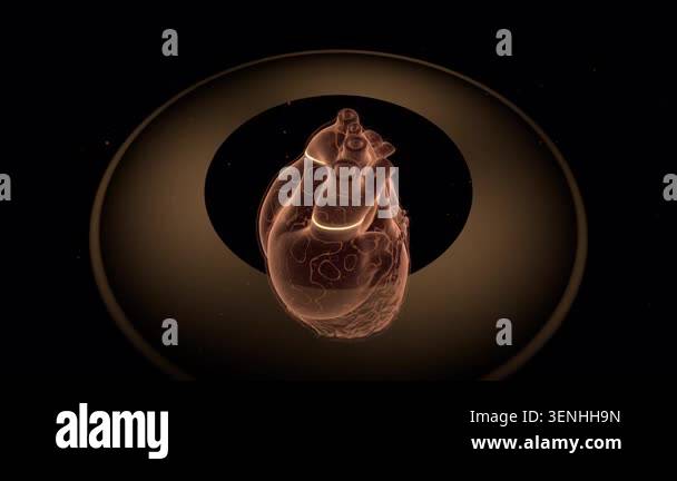 Infected Human Heart Orbit simulating advanced medical technology and ...