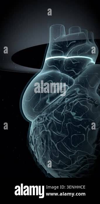 Glass Human Heart Simulation simulating advanced medical technology and ...