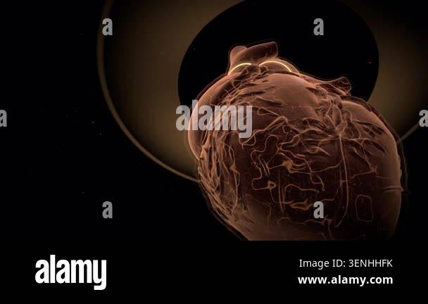 Red Heart Distress Simulation simulating advanced medical technology ...