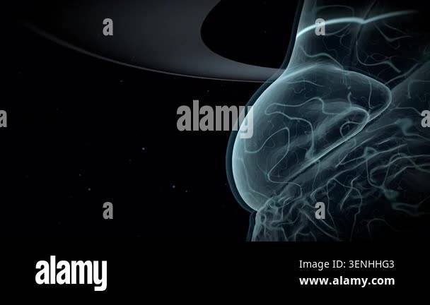 Glass Human Heart Simulation simulating advanced medical technology and ...