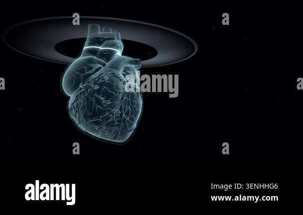 Vascular Network Scan simulating advanced medical technology and ...