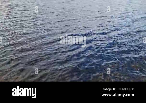 Water surface of a wide river. Blue water surface with small waves and ...