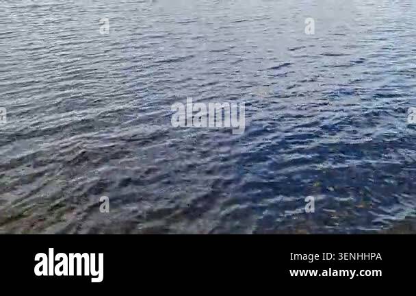 Water surface of a wide river. Blue water surface with small waves and ...