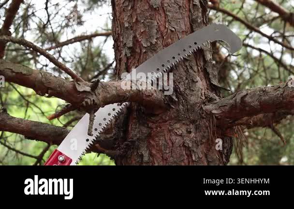Professional pruner with a curved blade and a hook. Close-up of hands ...