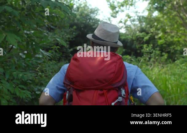 Solo Hiker Wearing a Fedora Hat and Red Backpack Walking Through a Lush ...