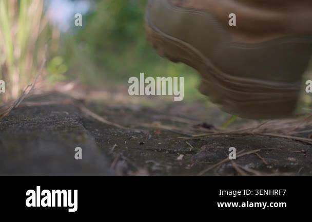 Close Up of Hiking Boots Stepping Along a Forest Trail, Surrounded by ...