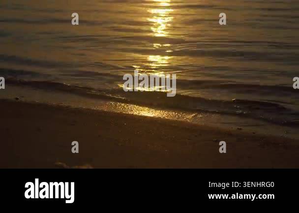 Golden Sunset Reflection on a Calm Tropical Beach Shoreline with Gentle ...