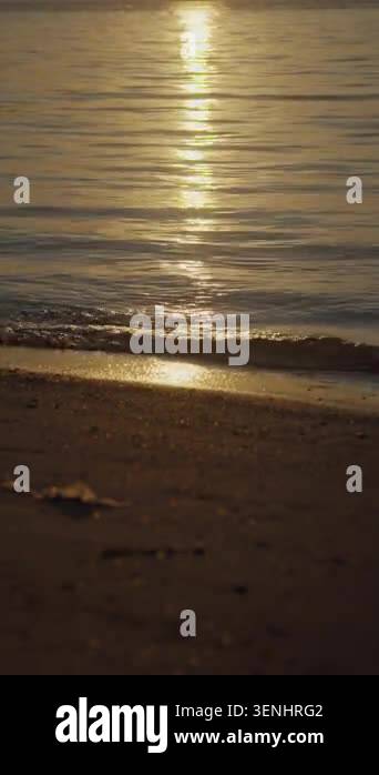 Warm Sunset Glow Reflecting Across a Sandy Beach and Calm Sea with Soft ...