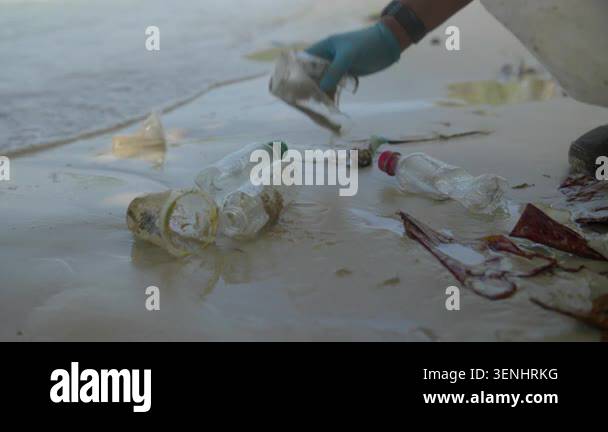 Close Up of a Person Collecting Plastic Bottles from a Beach Shoreline ...