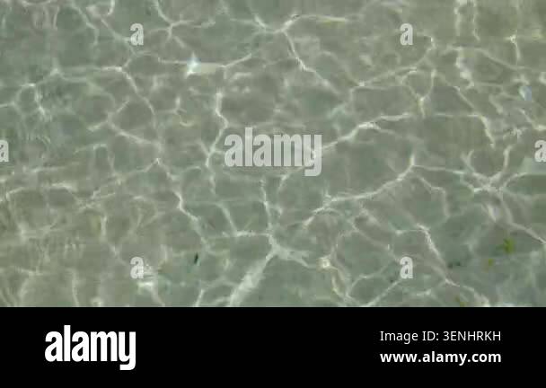 Sunlight Reflections Dancing on Crystal Clear Tropical Seawater ...