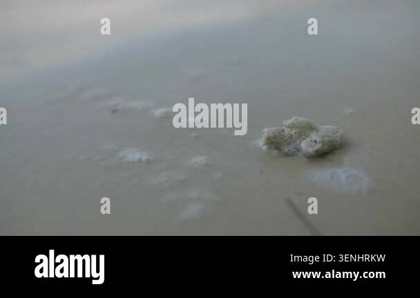 Small Rock Resting on Fine White Sand as Gentle Crystal Clear Ocean ...