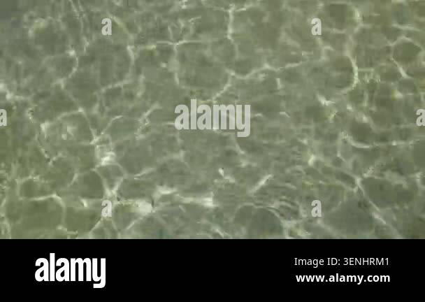 Clear Tropical Ocean Water Illuminated by Dancing Sunlight Reflections ...