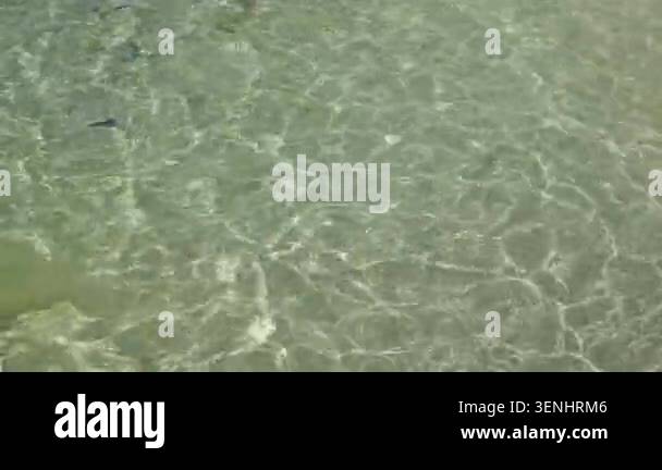 Golden Sunlight Shimmering Across Crystal Clear Tropical Waters ...