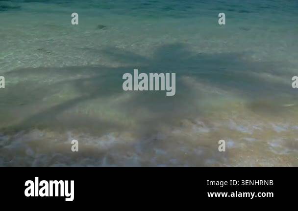 Tropical Beach Shoreline with Gentle Waves, Crystal Clear Turquoise ...
