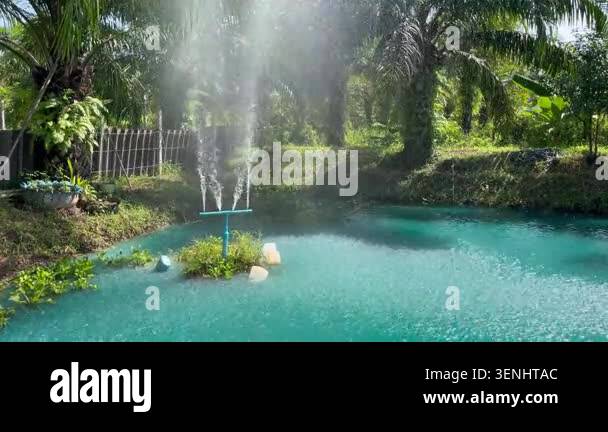Beautiful water fountain spraying from a pipe into a garden pond ...