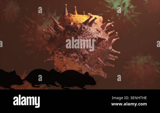 Realistic 3d rendering of a coronavirus particle with black rat ...