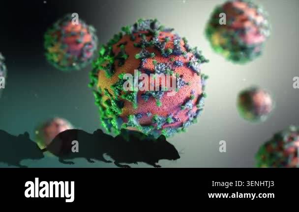 Conceptual animation showing black silhouettes of laboratory mice ...