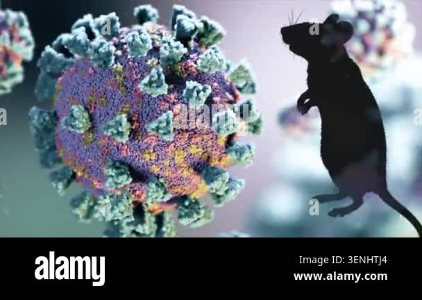 Conceptual 3d animation of a lab rat silhouette interacting with a ...