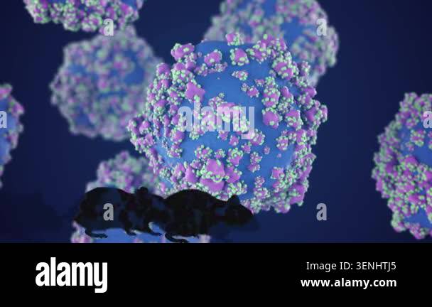 Microscopic view of hantavirus virions floating in the bloodstream with ...
